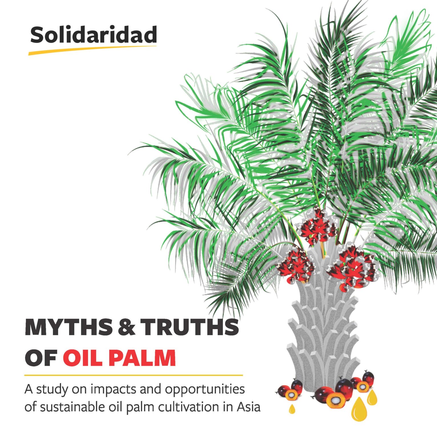 National Mission on Edible Oil (NMEO) – Oil Palm-Presentation on “Focus ...